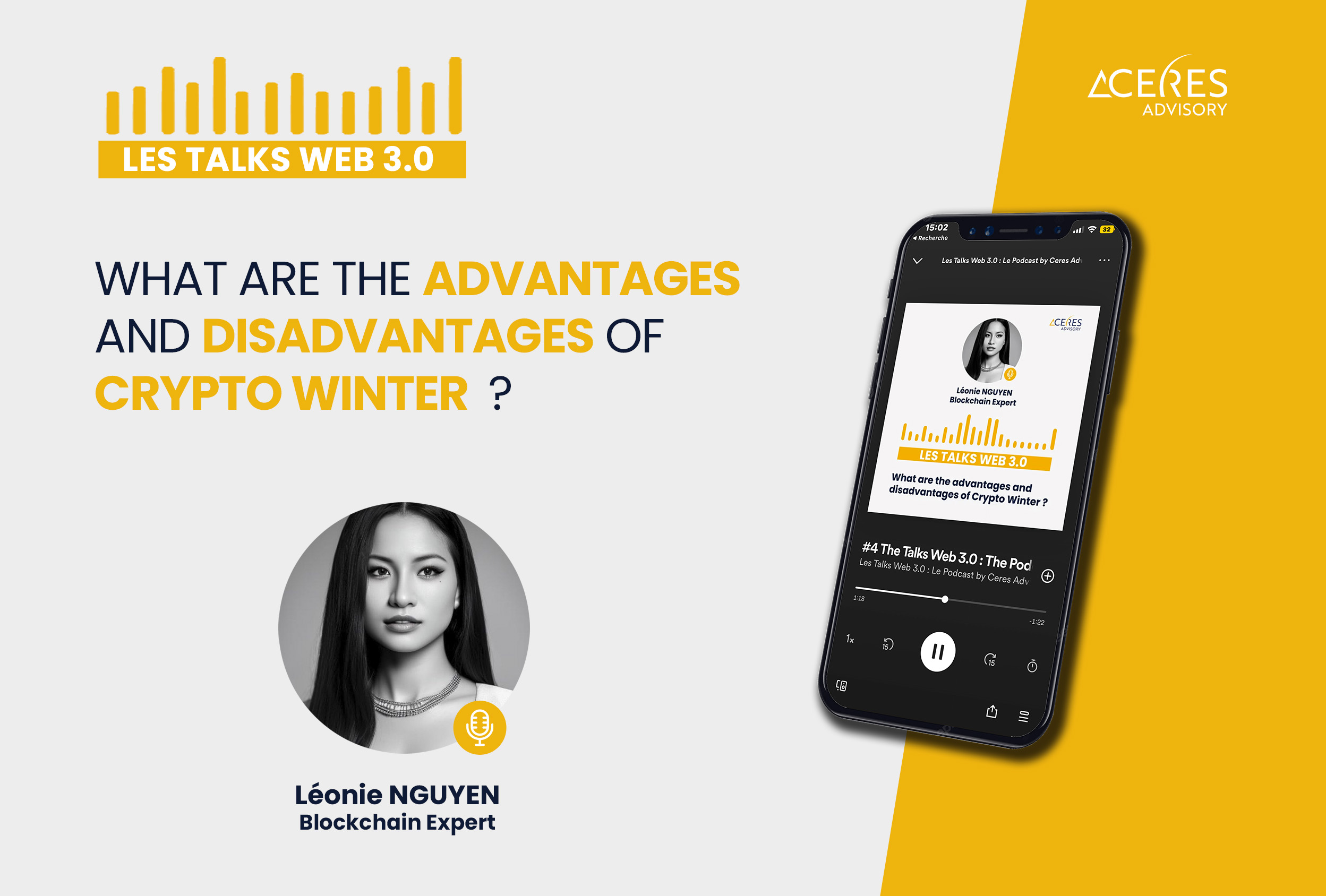 What are the advantages and disadvantages of Crypto Winter